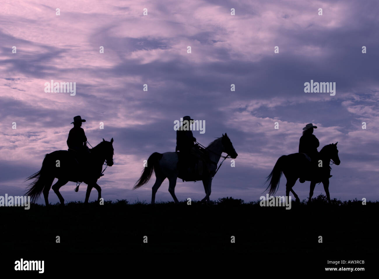 Three western riders Stock Photo - Alamy