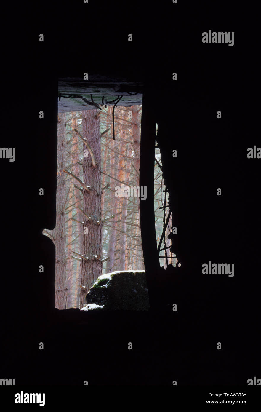 Molotov Line - Inside the bunker Stock Photo - Alamy