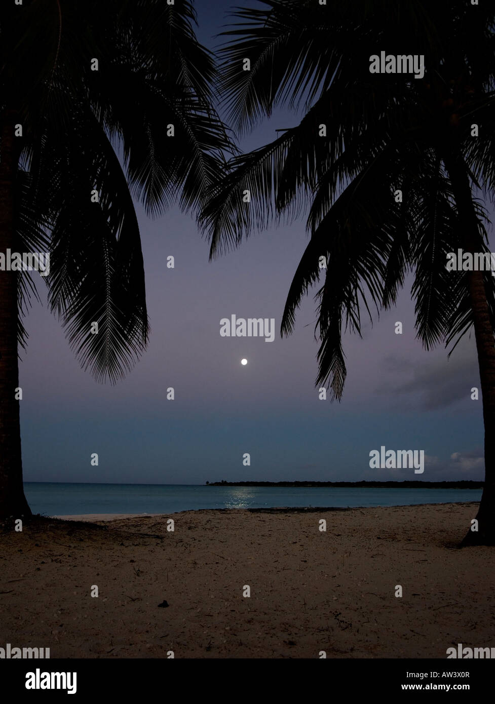 Galliot hi-res stock photography and images - Alamy