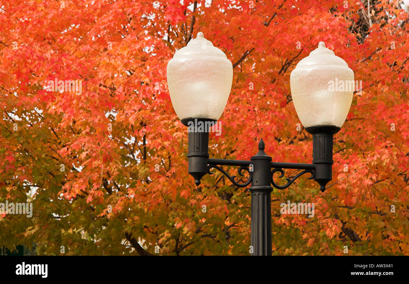Fall in town, streetlights Stock Photo - Alamy