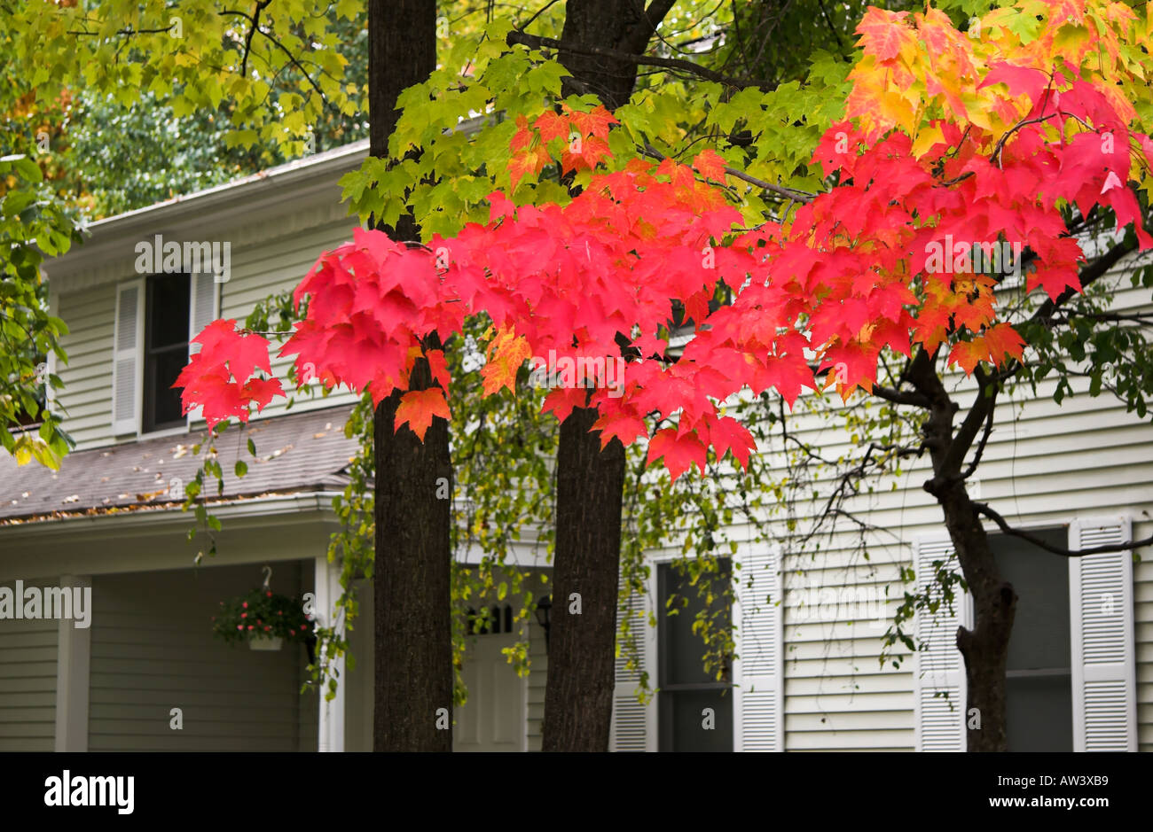 Fall in town, Midwest USA Stock Photo - Alamy