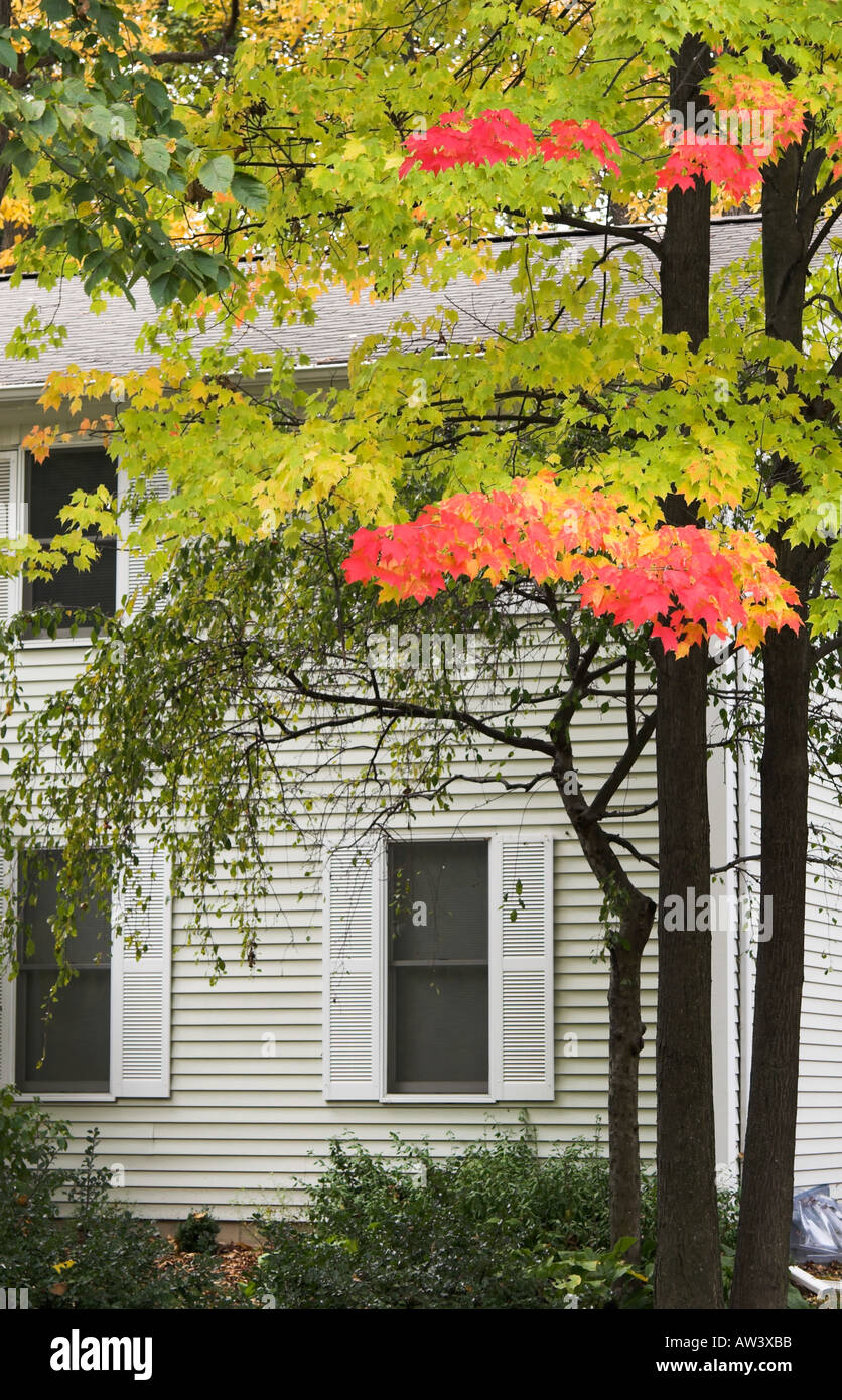 Fall in town, Midwest USA Stock Photo - Alamy