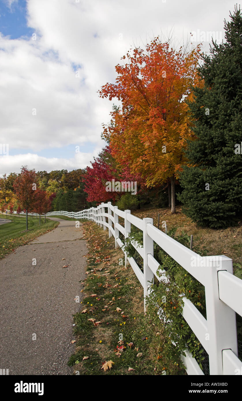 Fall in town, Ann Arbor, Michigan, USA Stock Photo - Alamy