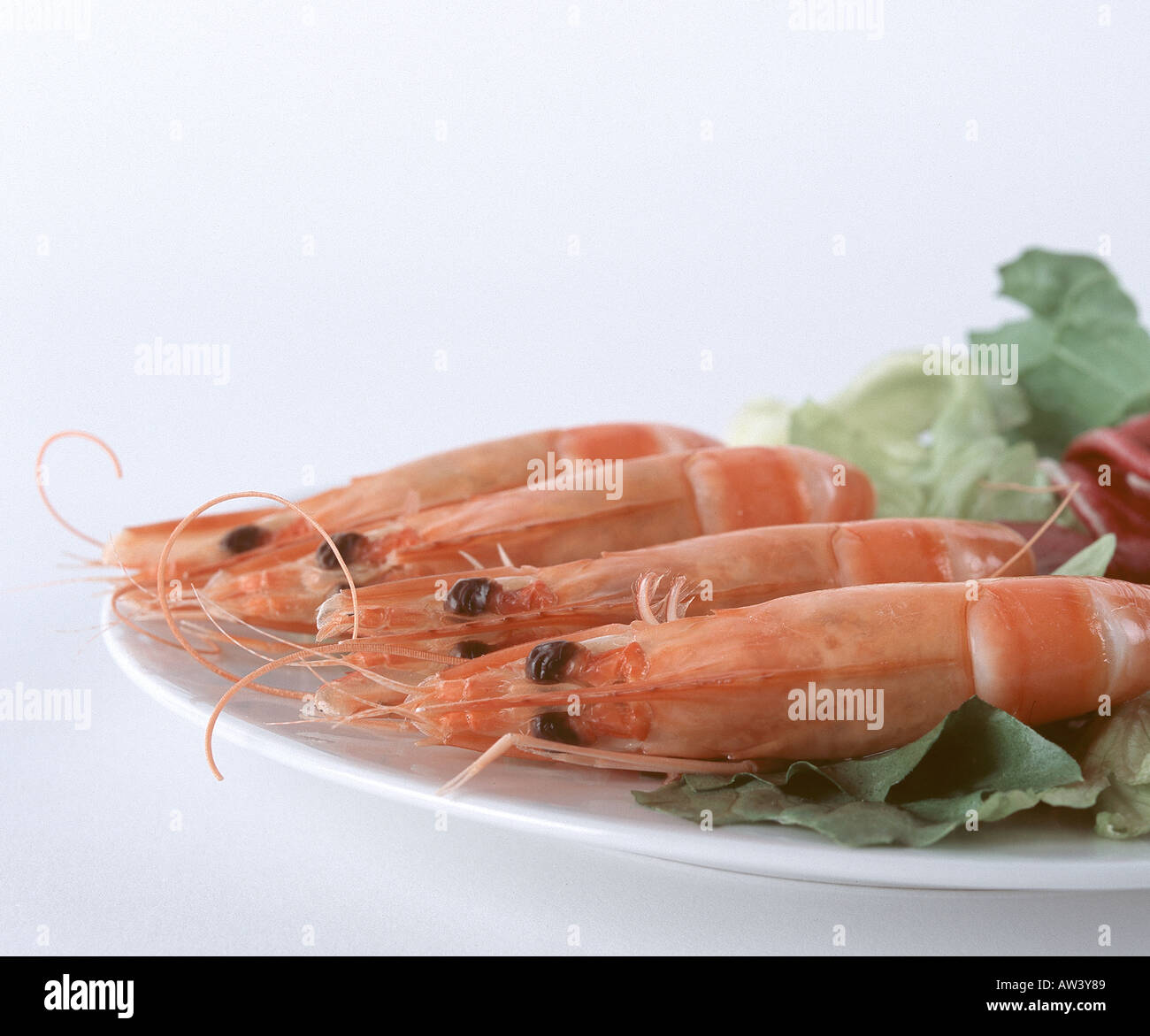 SEA FOOD, PROWNS,CHEMICAL, FRESH, SEA, OIL, FISH, HEALTH, tropical ...