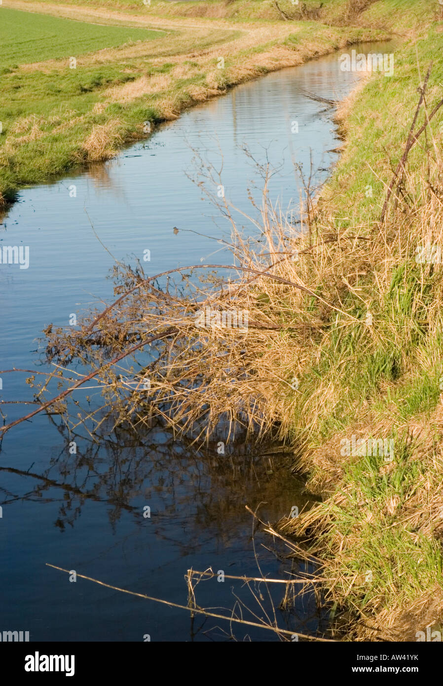 A water filled drainage ditch along the edge of a field Stock Photo - Alamy