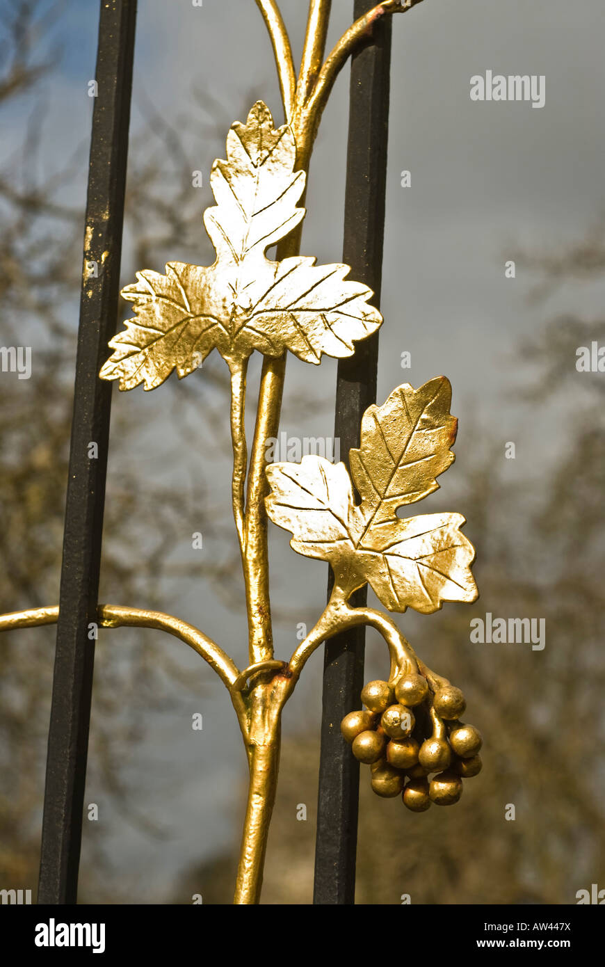 Wrought iron gate grapes hi-res stock photography and images - Alamy