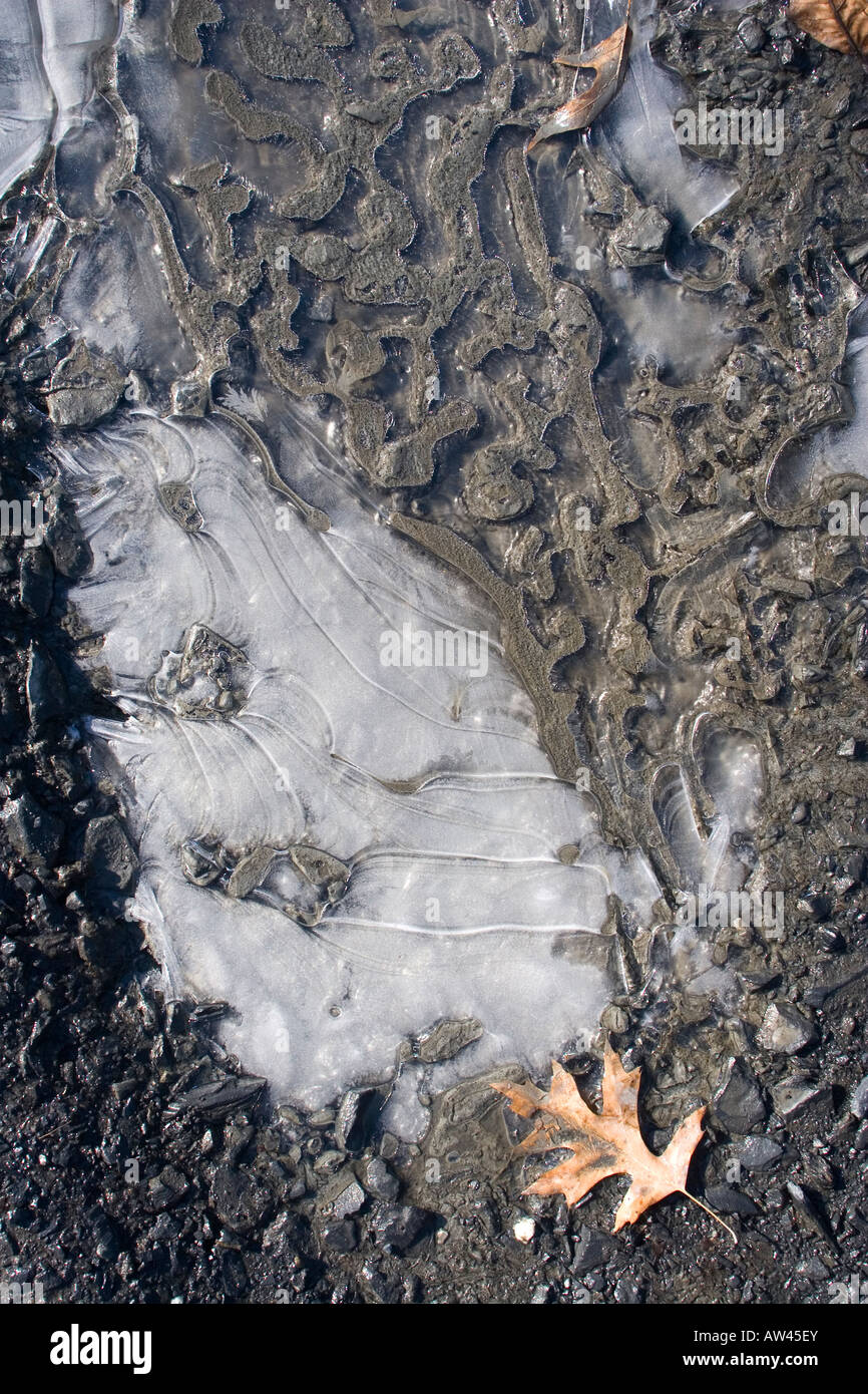 Patterns form in ice and mud on a dirt road as temperatures rise and ...