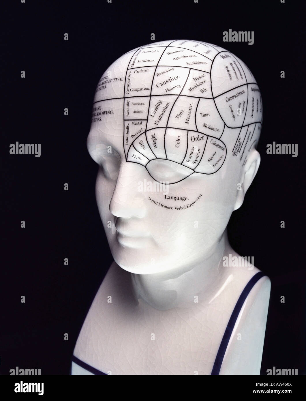 Character head study hi-res stock photography and images - Alamy