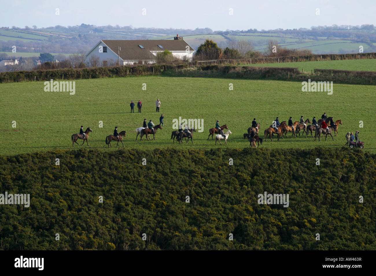 Fox Hunt, horses and hounds looking for fox. Red coat. farm land, green ...