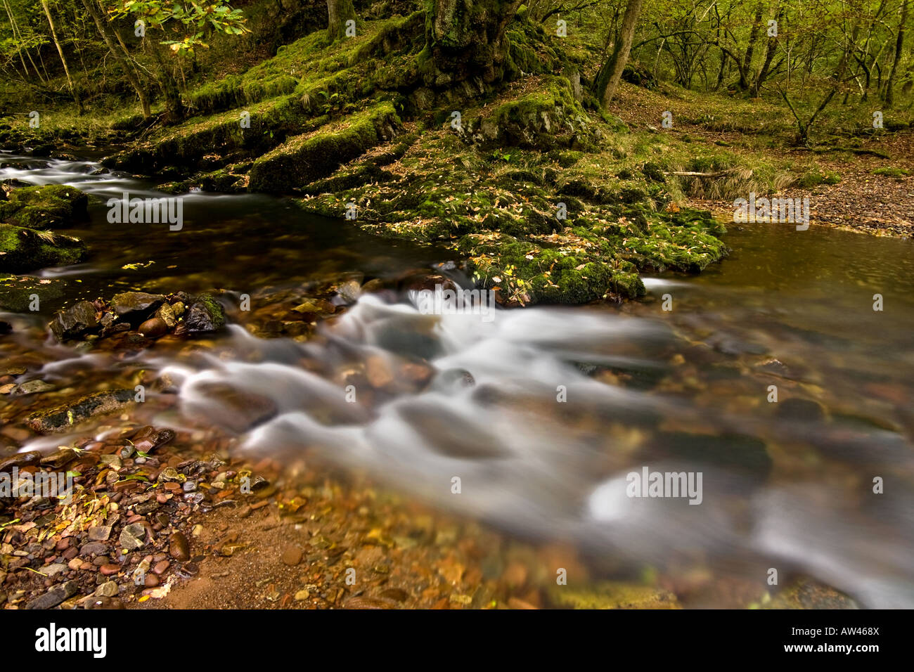 woodland stream near Ystradfellte, Wales Stock Photo - Alamy