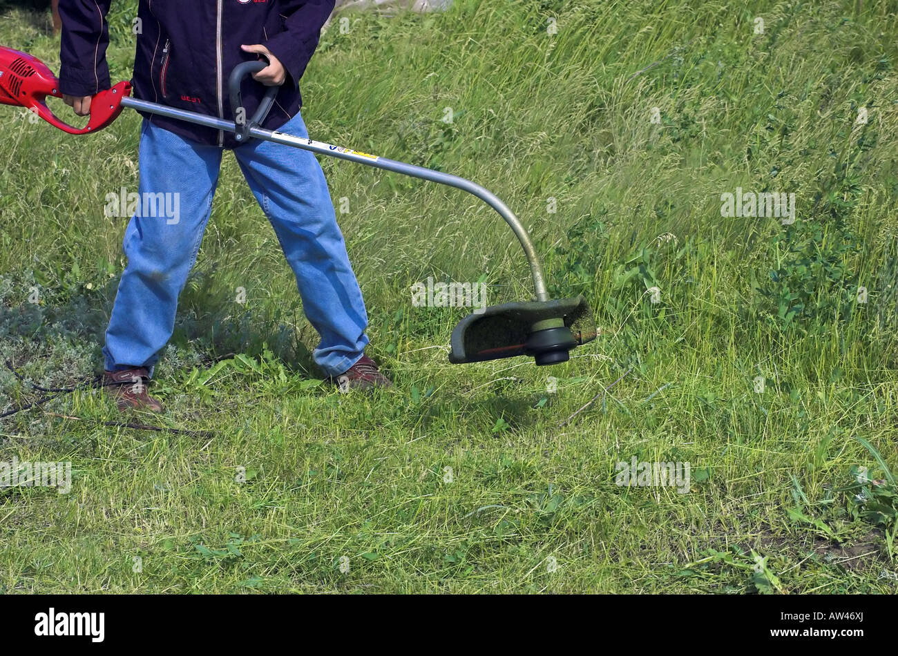 Grass trimmer small garden hi-res stock photography and images - Alamy