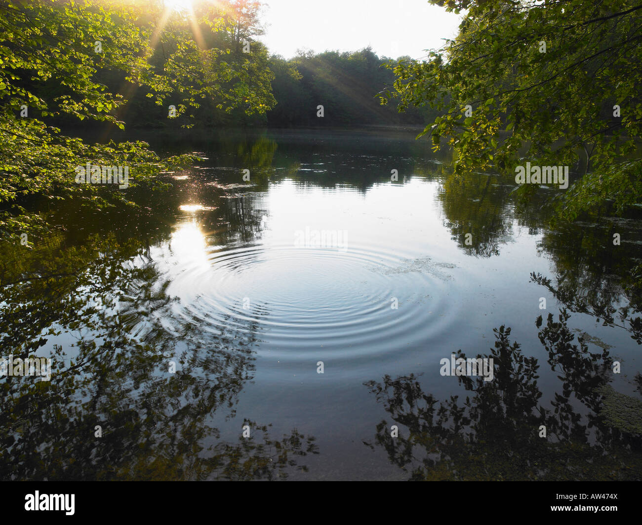 Riddle lake hi-res stock photography and images - Alamy