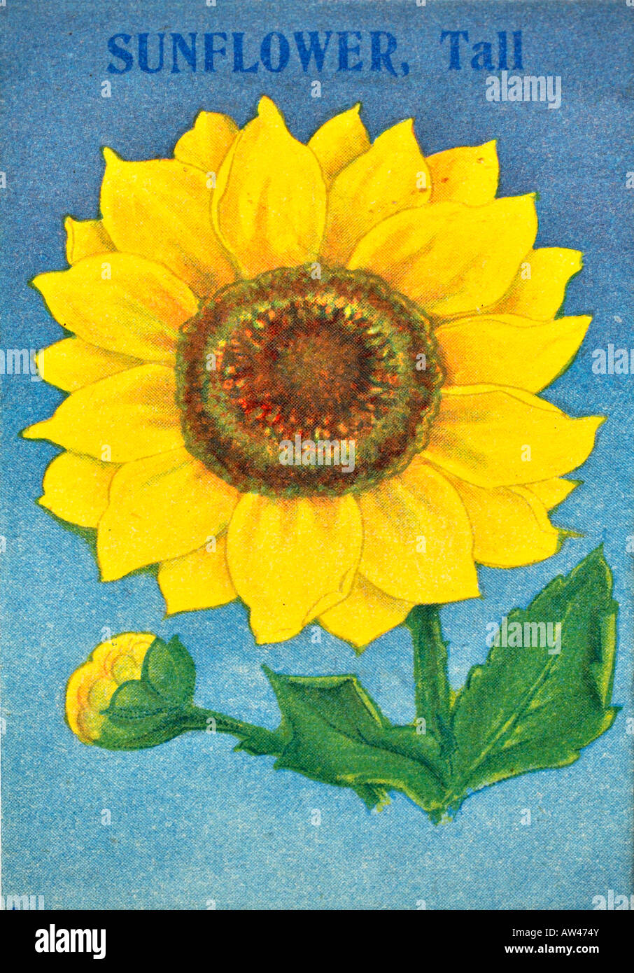 Victorian seed packet hi-res stock photography and images - Alamy