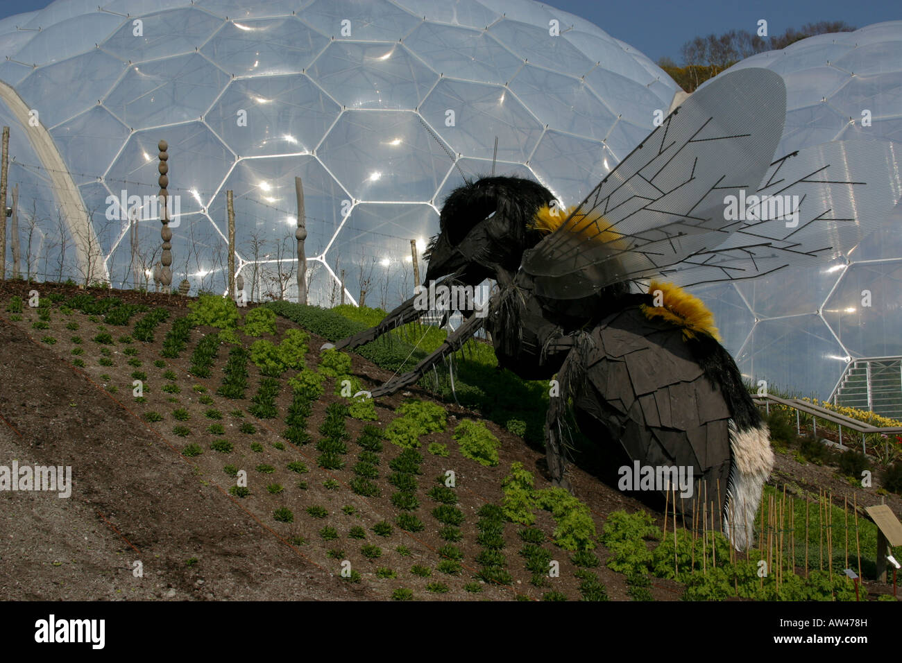 Bee sculpture eden project hi-res stock photography and images - Alamy