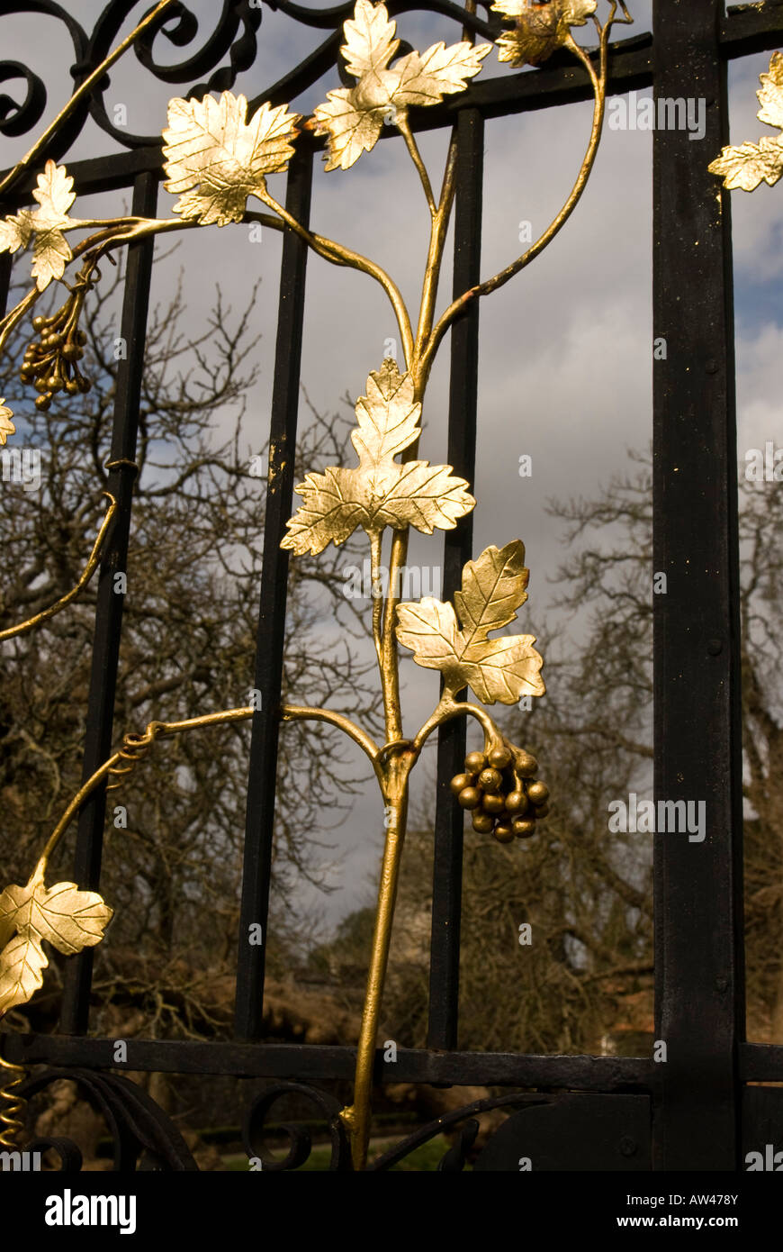 Wrought iron gate grapes hi-res stock photography and images - Alamy