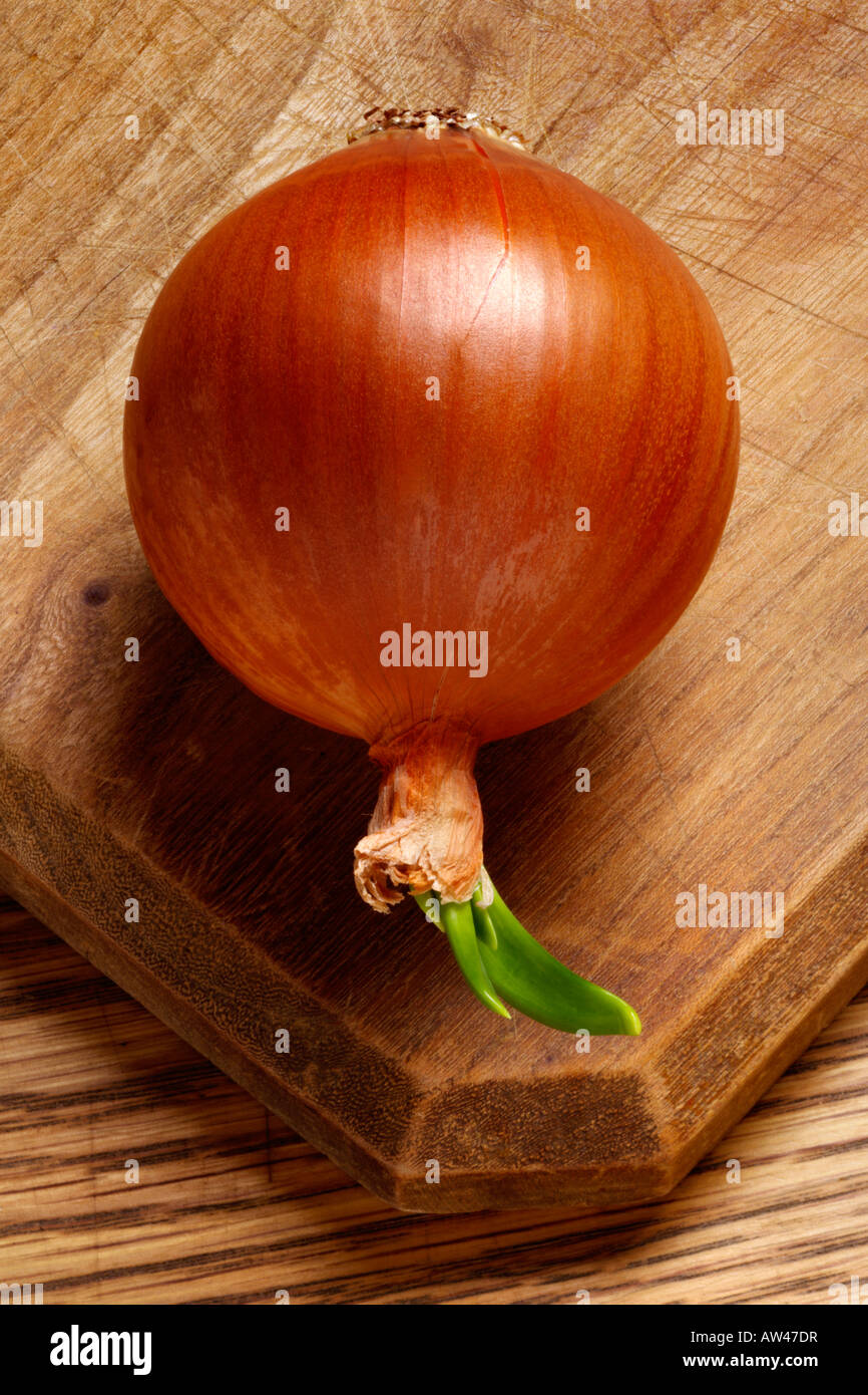 Onion hi-res stock photography and images - Alamy