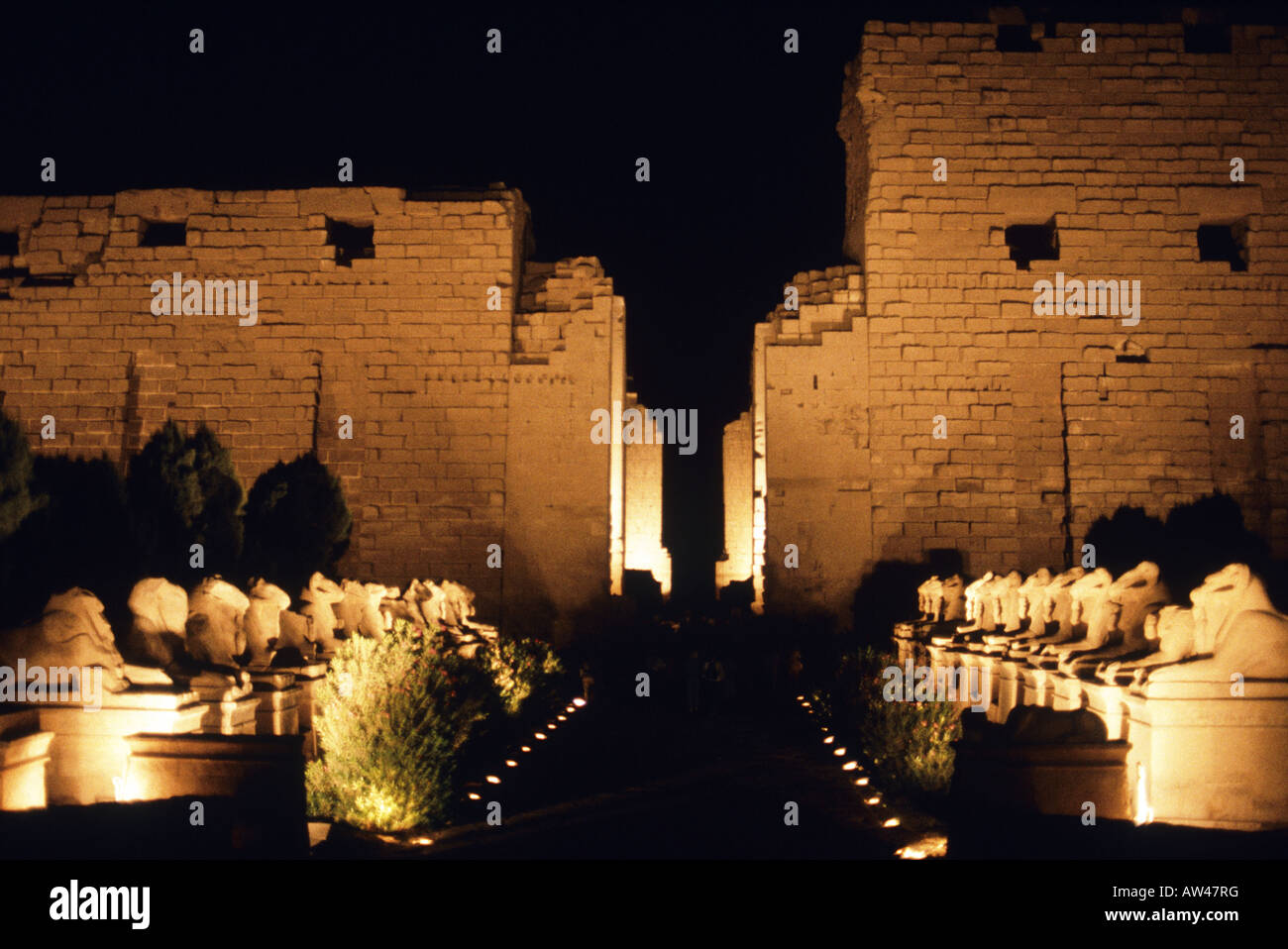 Karnak Temple of Amun Precinct Processional way Statues of ram headed ...