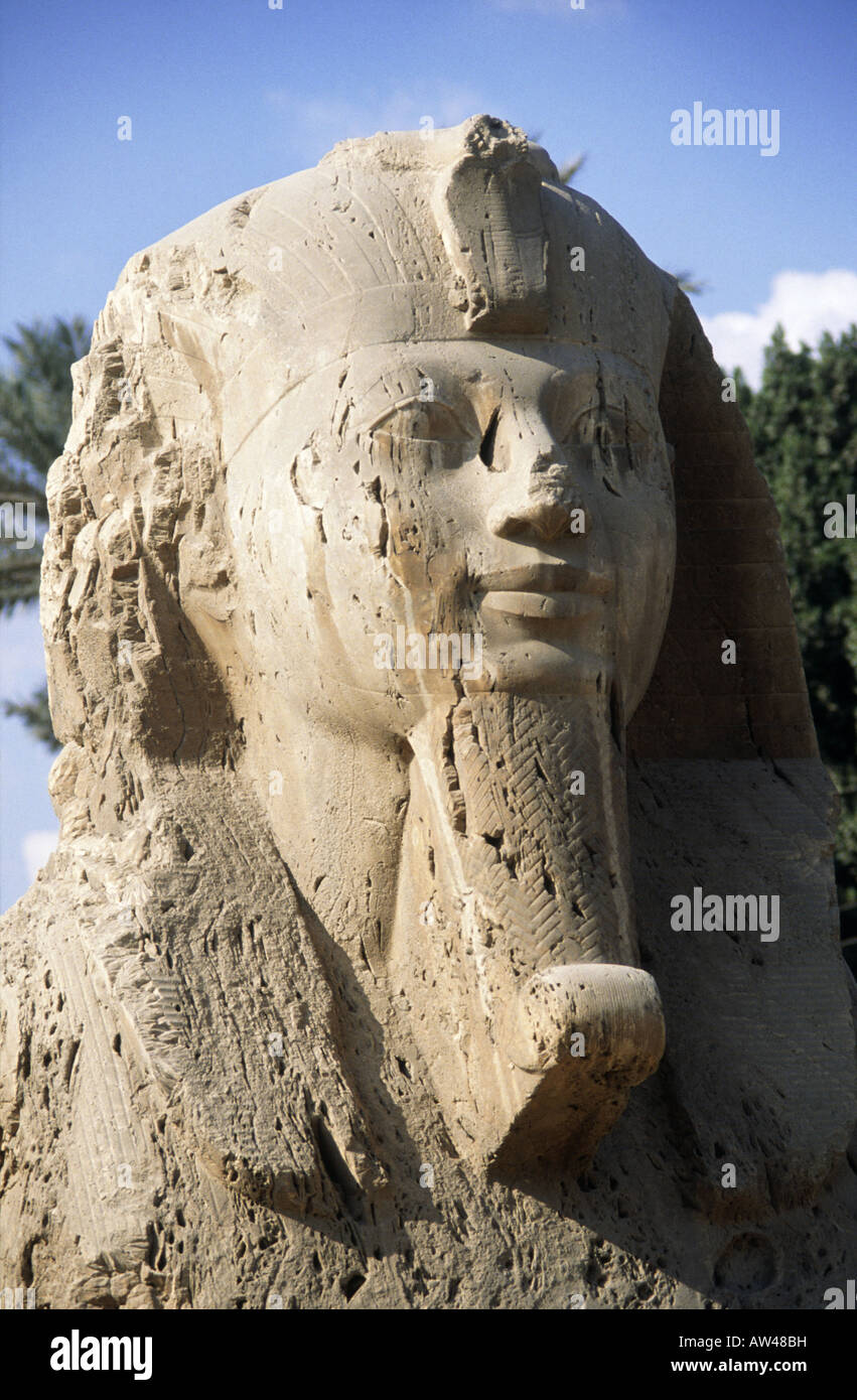 Head of giant alabaster Sphinx Headdress Face Beard Cobra symbol on ...