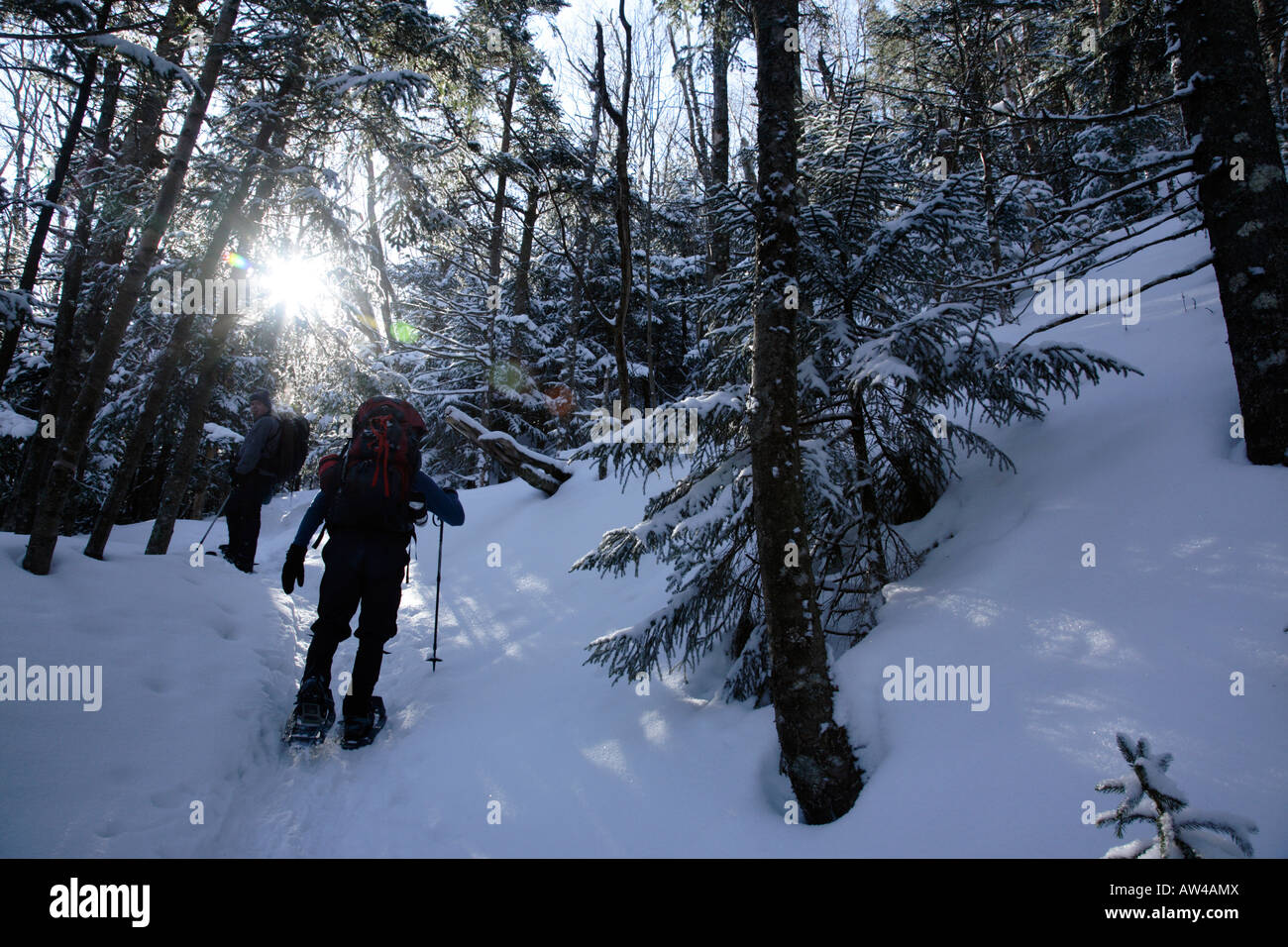 Hikers climb Greenleaf Trail during the winter months Located in the ...