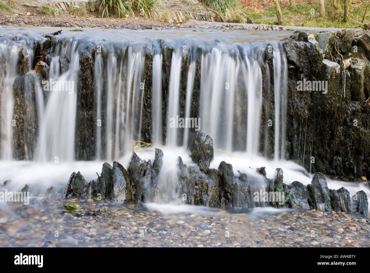 Plymbridge hi-res stock photography and images - Alamy