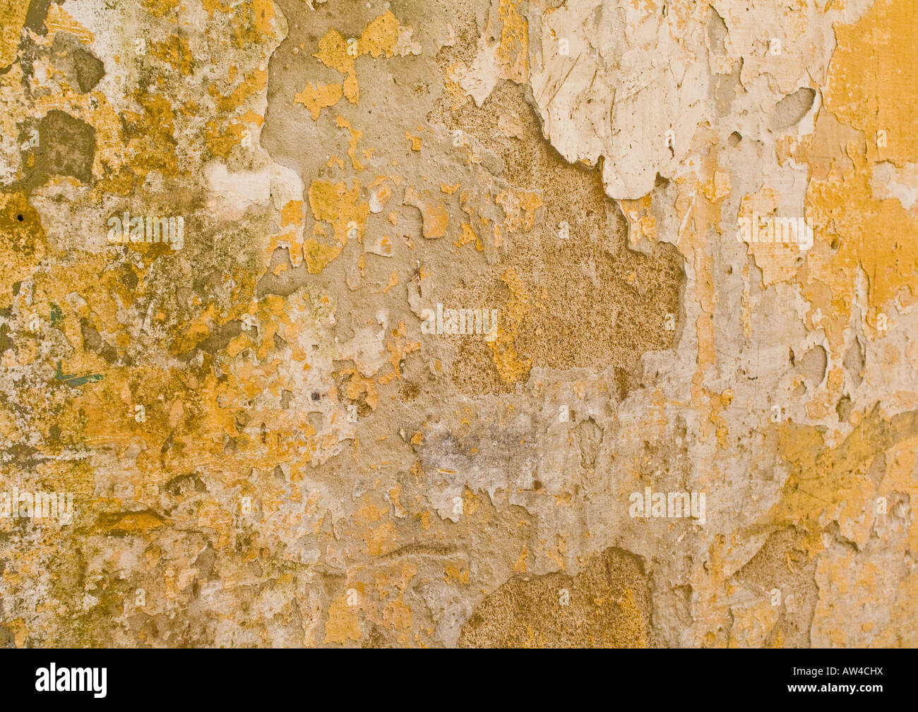 Crumbling plaster and peeling paint Stock Photo - Alamy