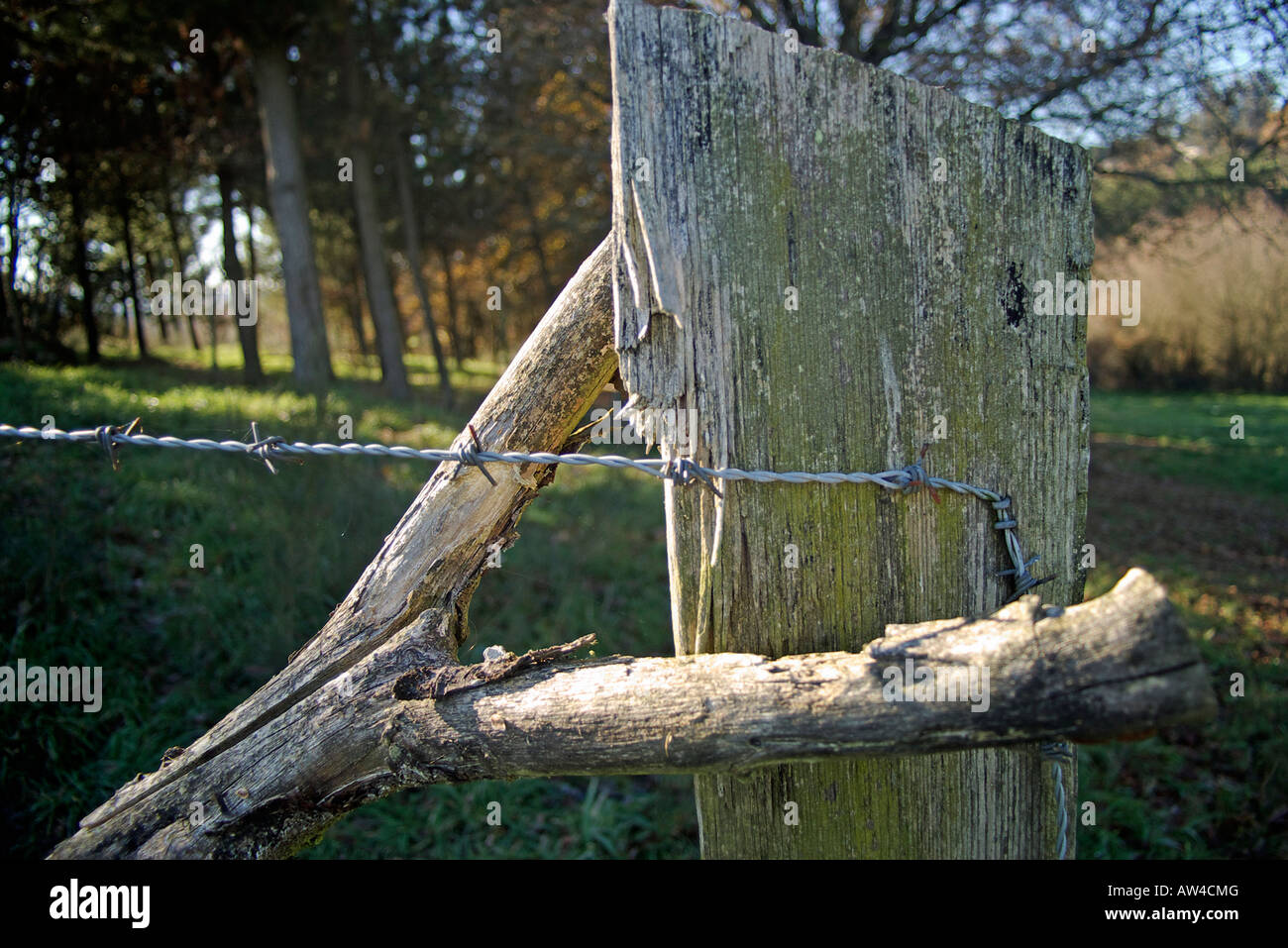 detail of the wooden stake of a wire fence Stock Photo - Alamy