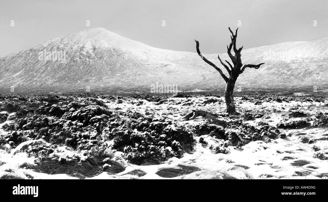 Moor uk Black and White Stock Photos & Images - Alamy