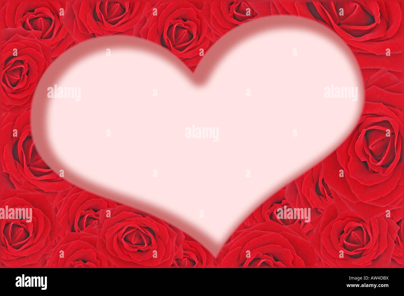 Red roses background shape of heart inside Stock Photo - Alamy