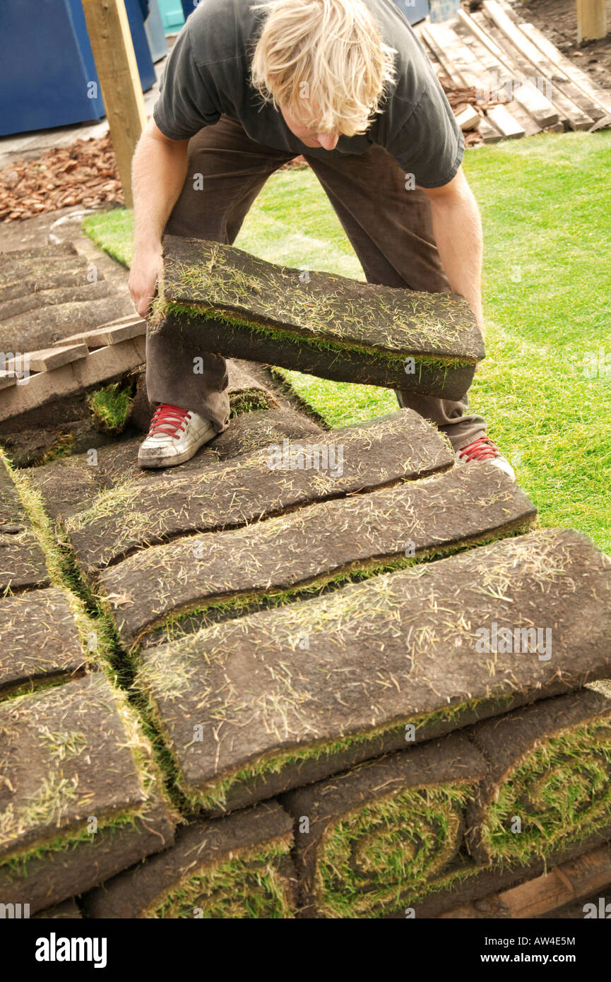 Man working with sod Stock Photo - Alamy