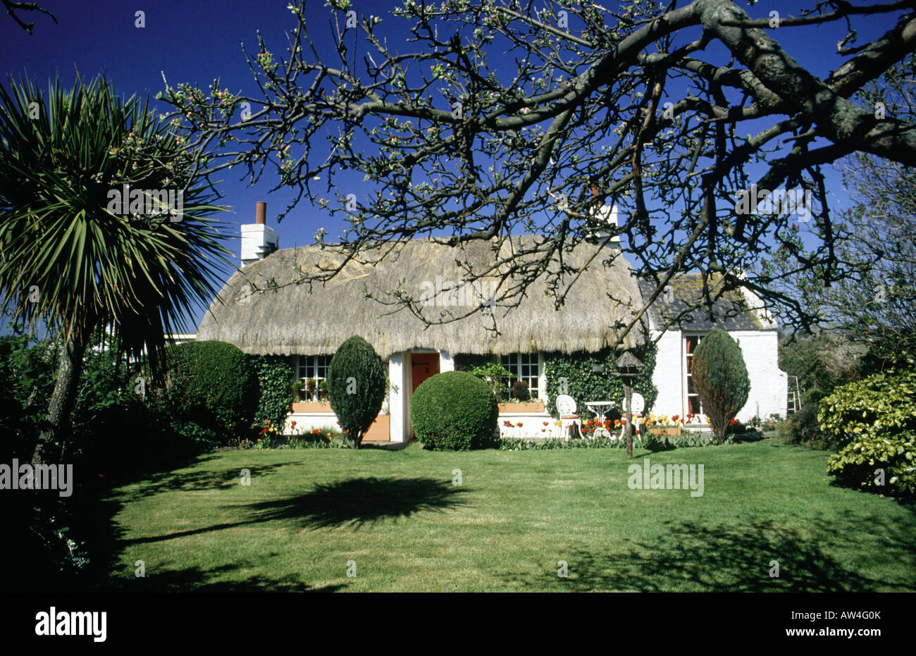 Traditional Manx house Small old cottage Thatched White washed walls ...