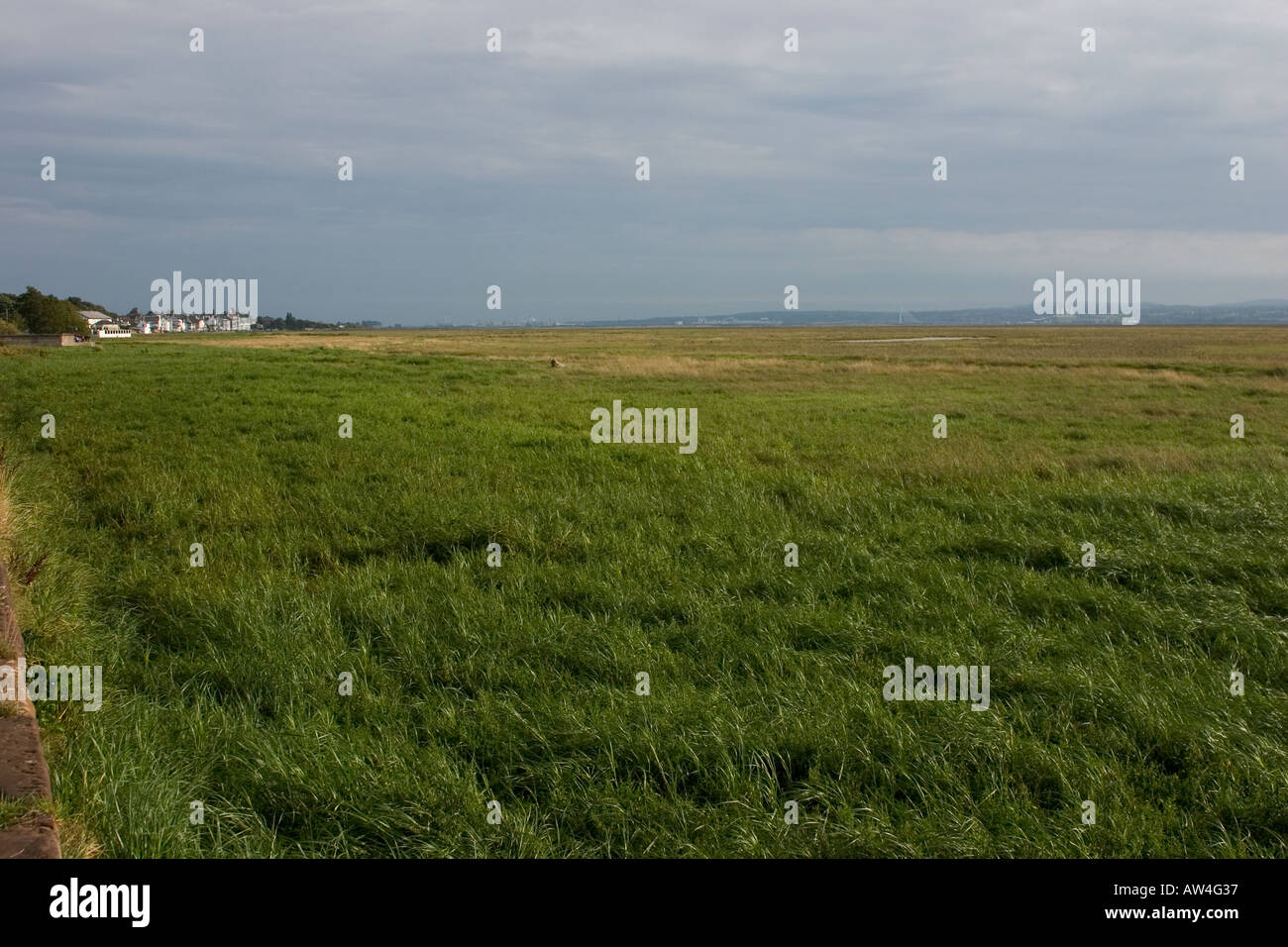 The marsh at Parkgate the Wirral Stock Photo - Alamy