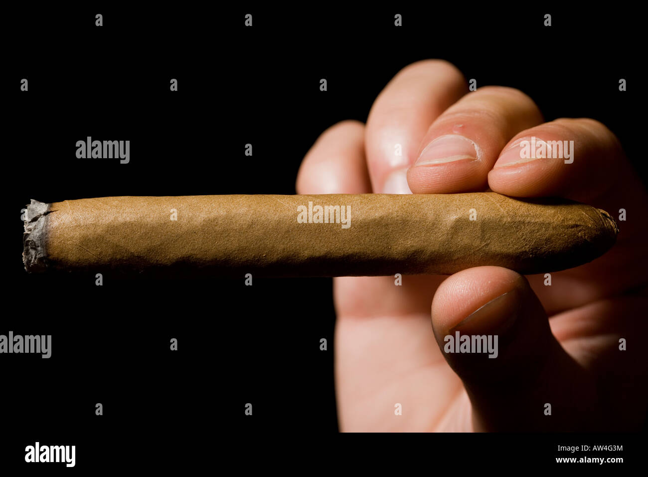 Weed Vs Cigars