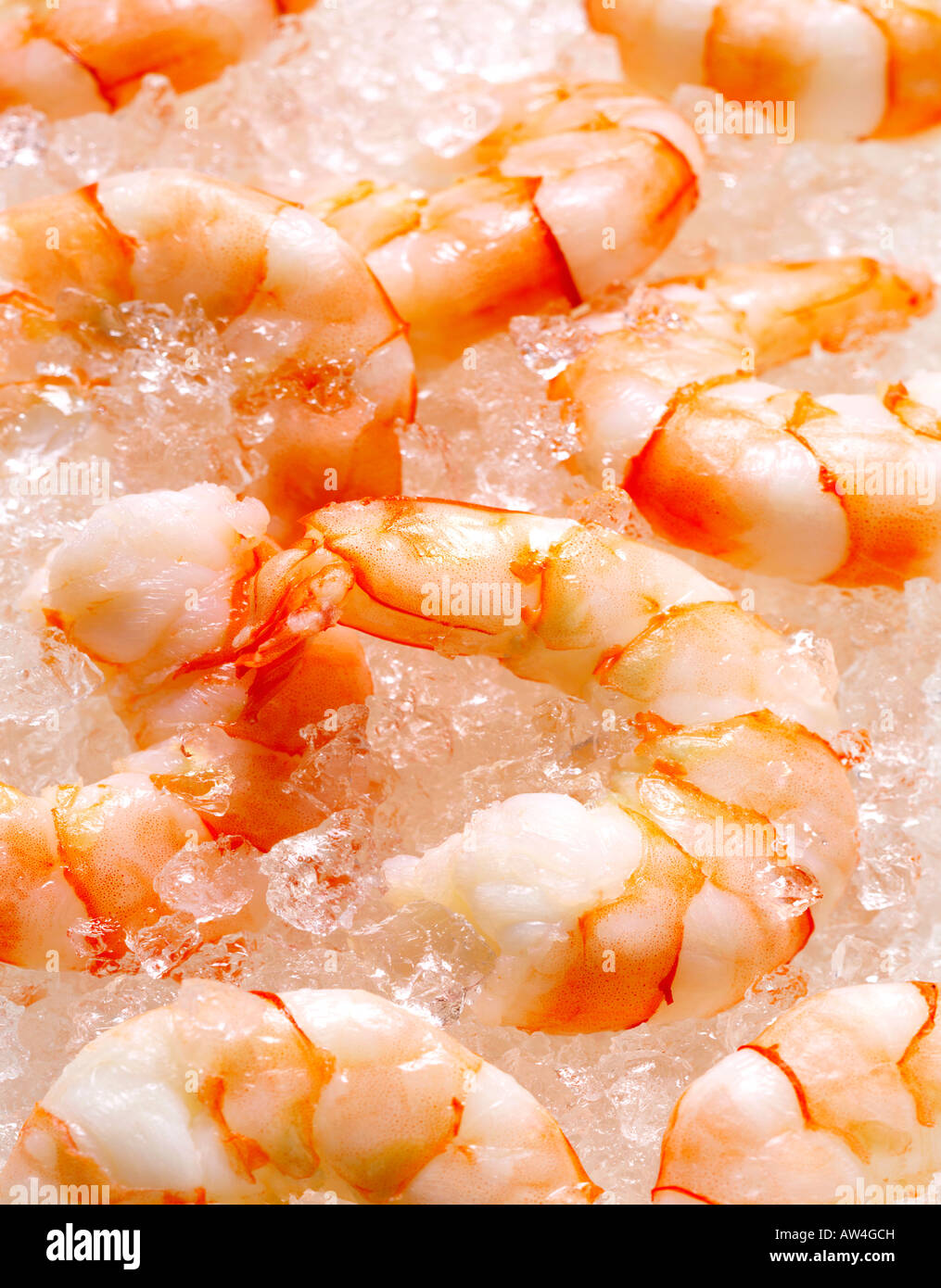 Jumbo tiger prawns on ice Stock Photo - Alamy