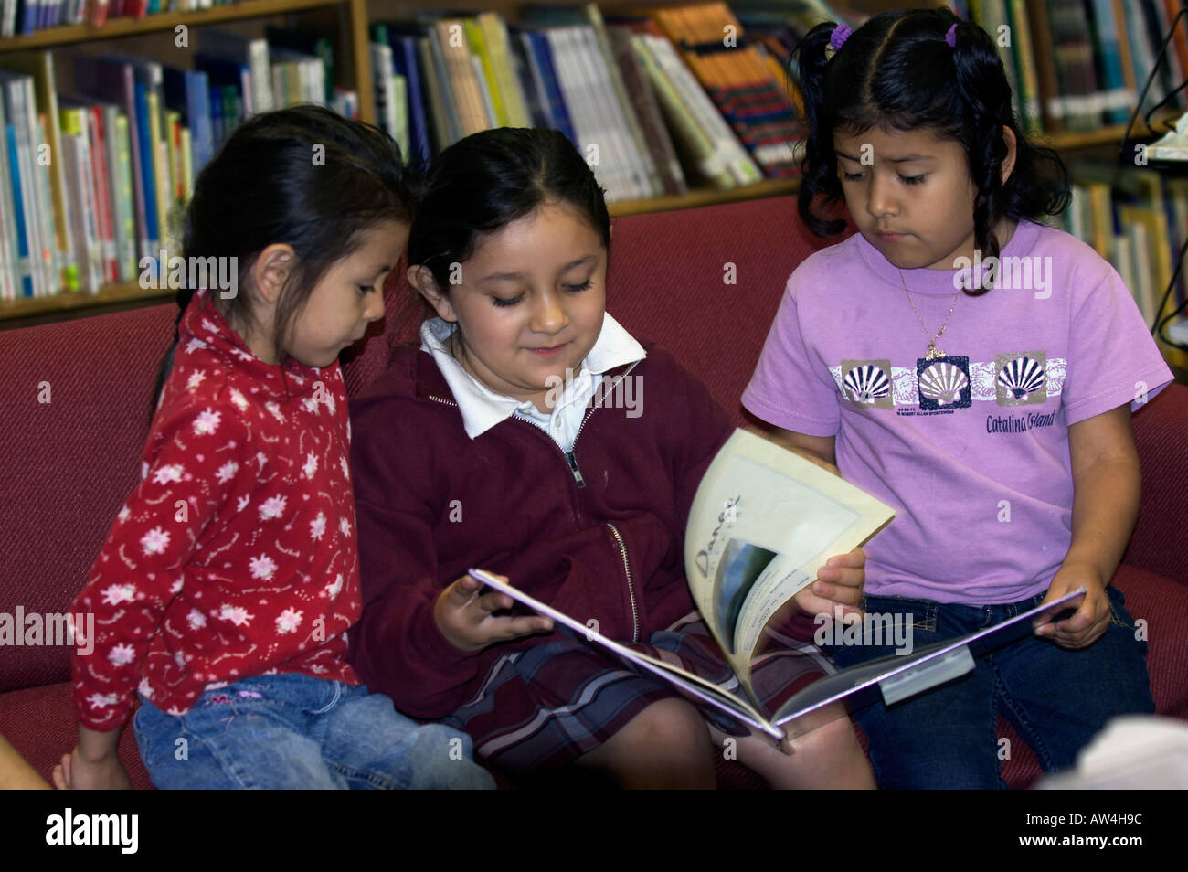 students reading in library Stock Photo - Alamy