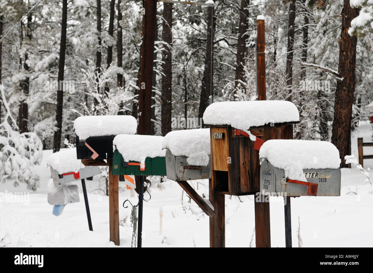 Mailboxes in a row on a snowy winter day in Flagstaff Arizona Stock ...