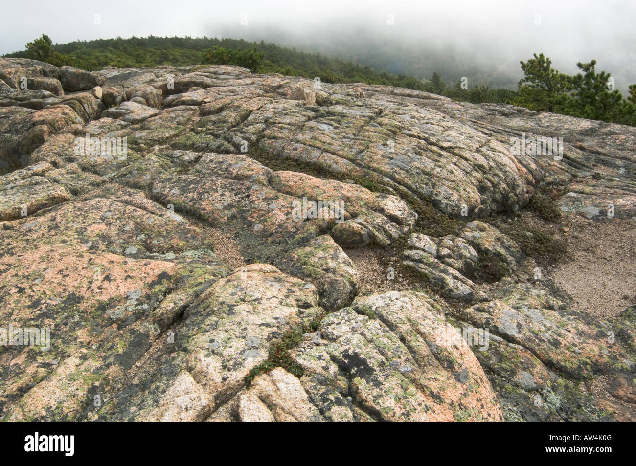 View from atop Dorr Mountain Dorr Mountain Ladder Trail Acadia National ...