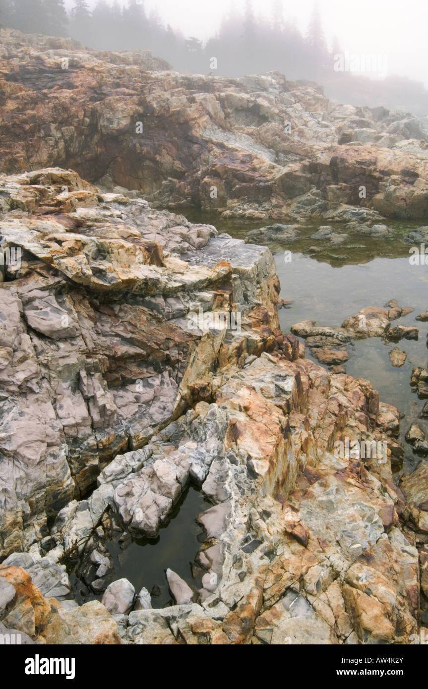 Cliffs and tide pools above Little Hunters Beach Acadia National Park ...