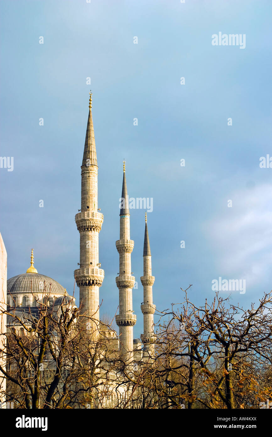 the Blue Mosque in Istanbul, Turkey Stock Photo - Alamy