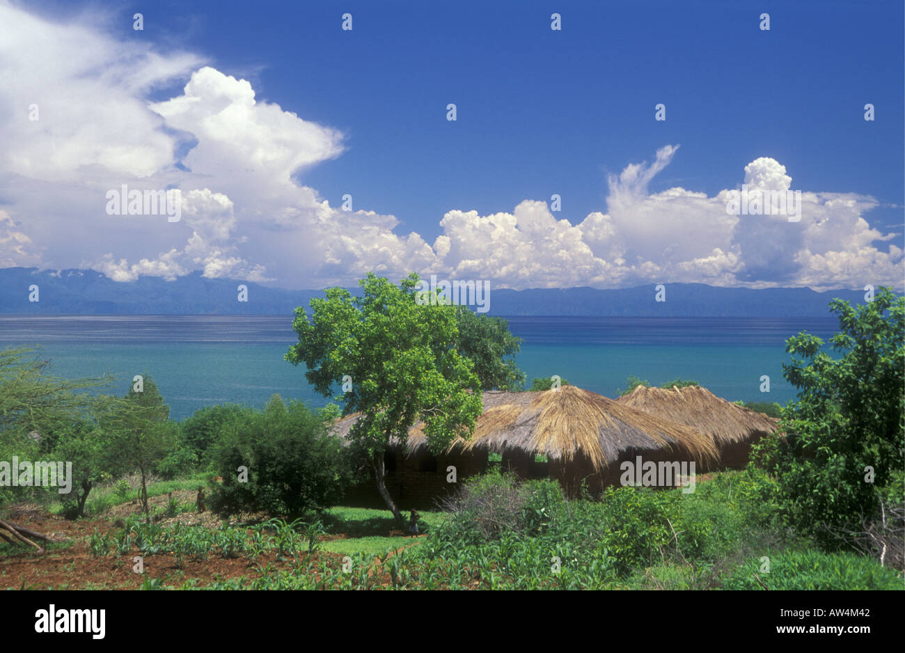 Lake scene near Livingstonia on northern shore of Lake Malawi Malawi ...