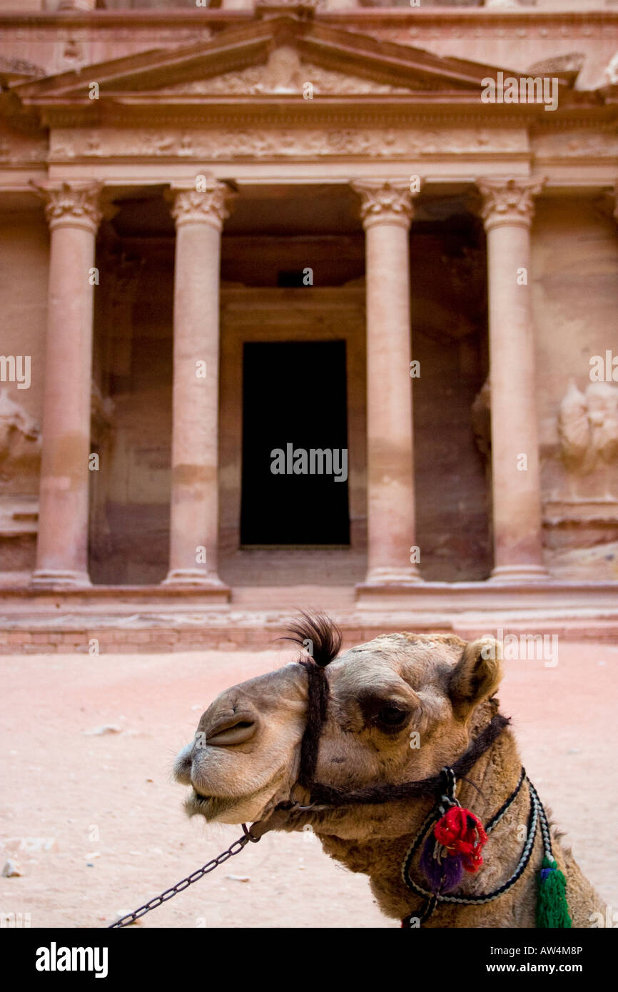 the Treasury building in Petra Jordan Stock Photo - Alamy