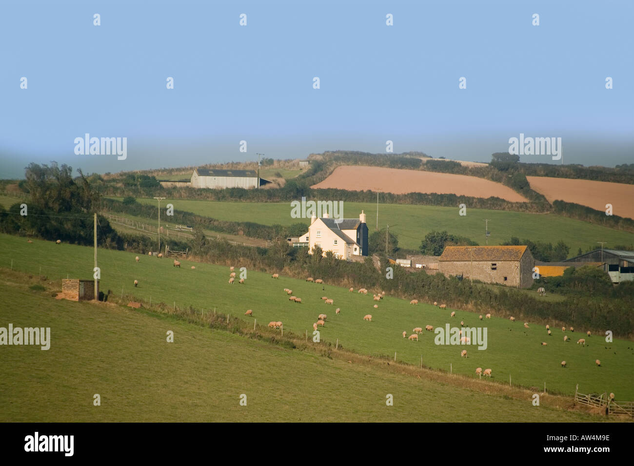 Devon farmhouse hi-res stock photography and images - Alamy