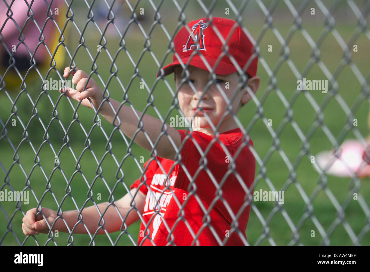 baseball boy looking through fence Stock Photo - Alamy