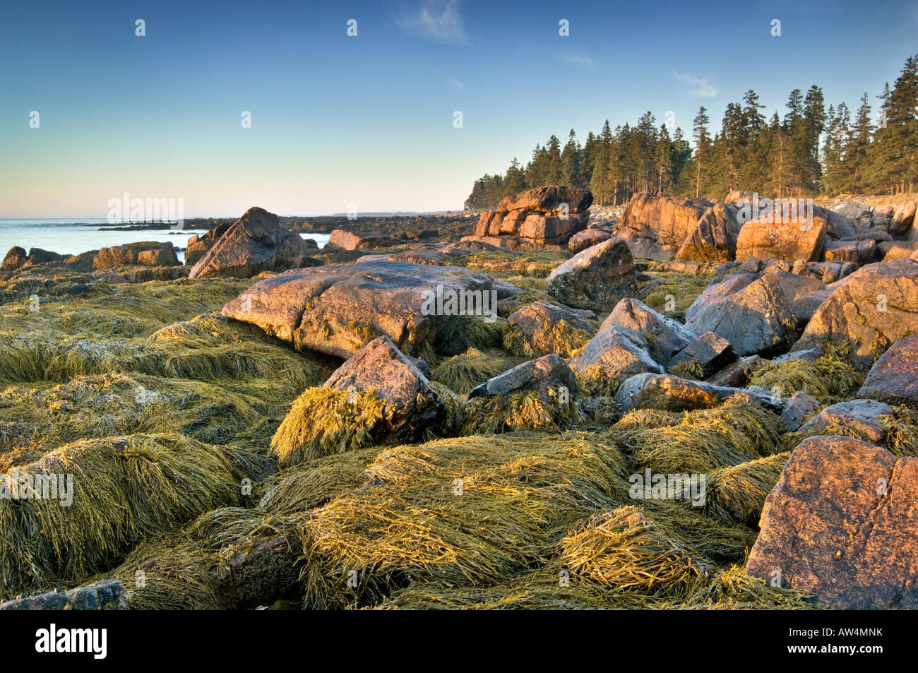 Sunrise over the Atlantic Natural Seawall Acadia National Park Maine ...
