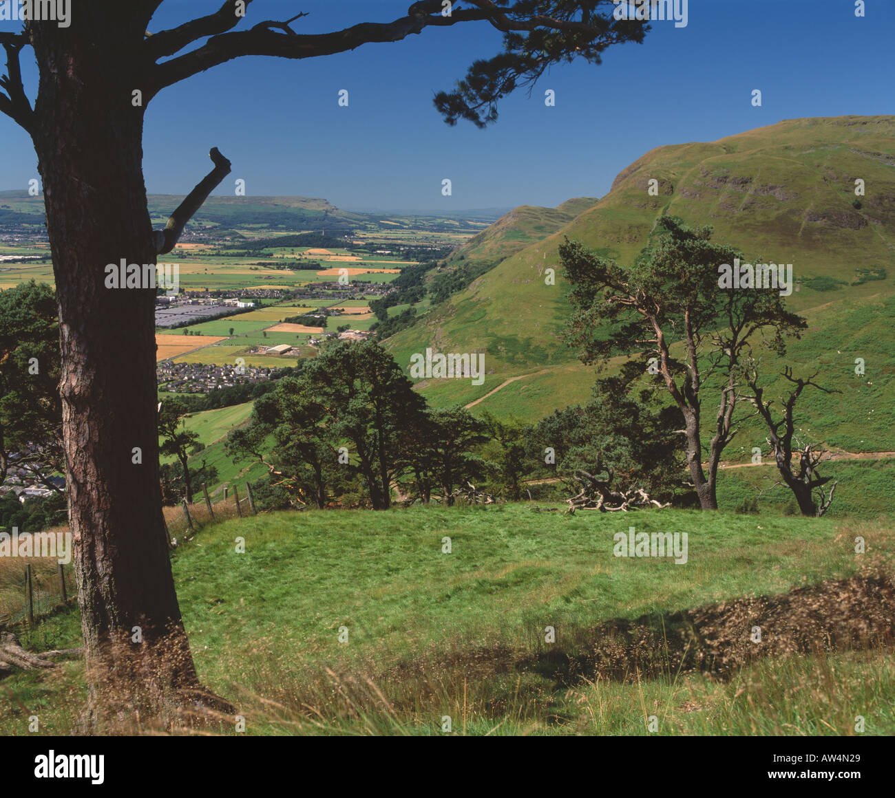 Ochil geological fault hi-res stock photography and images - Alamy
