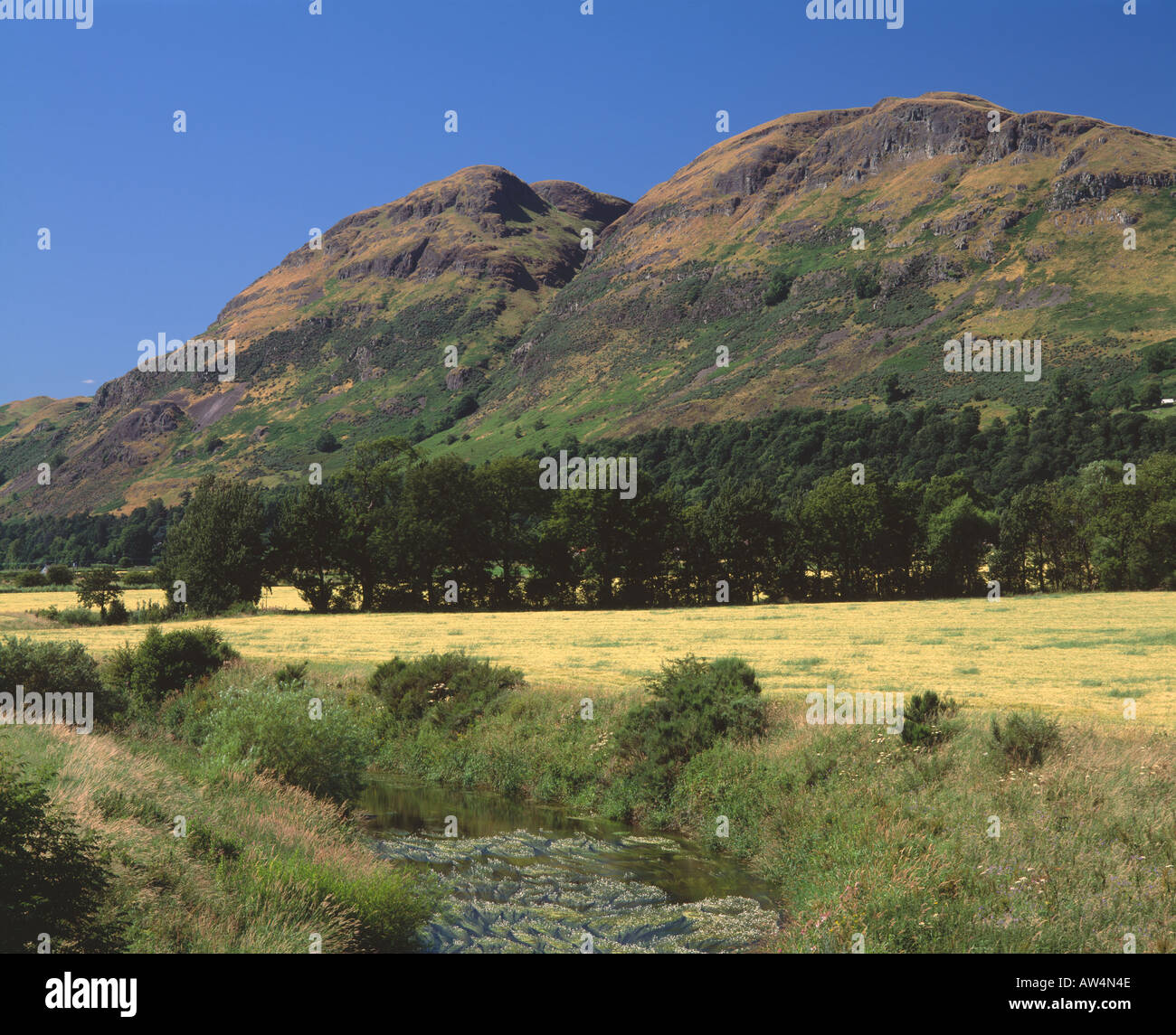 Menstrie ochils hi-res stock photography and images - Alamy