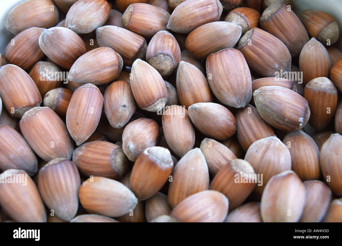 Fruits and cobnuts hi-res stock photography and images - Alamy