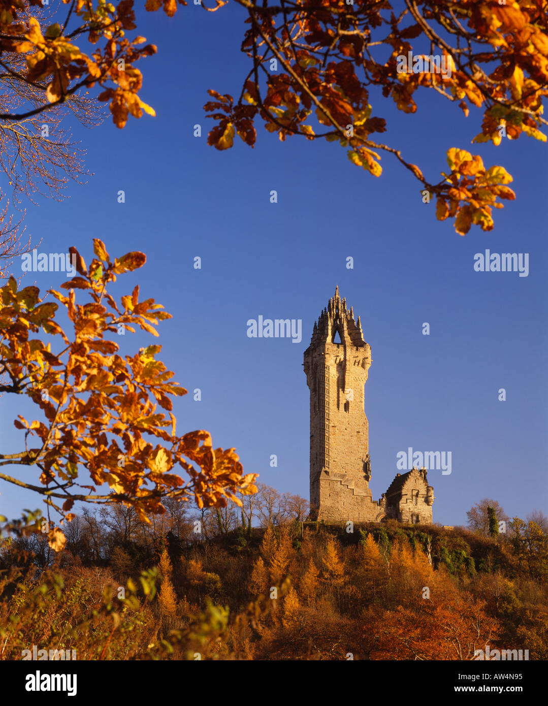 The National Wallace Monument on Abbey Craig, Stirling City, Scotland ...