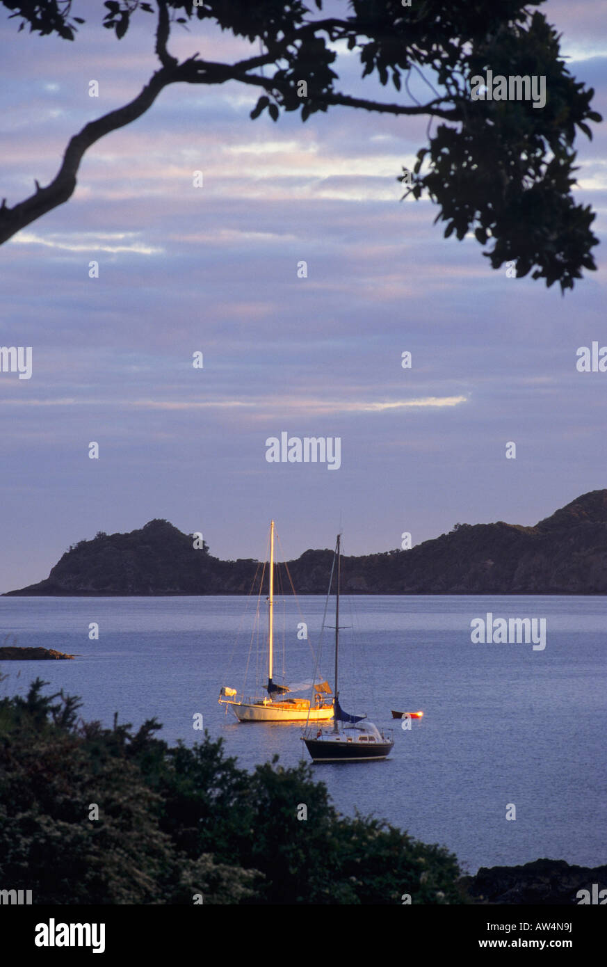 Anchor island new zealand hi-res stock photography and images - Alamy