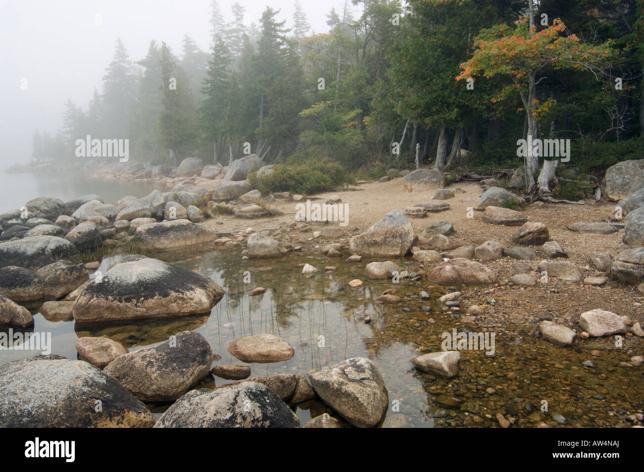 Fog covered scenics from the shore of Jordan Pond Acadia National Park ...