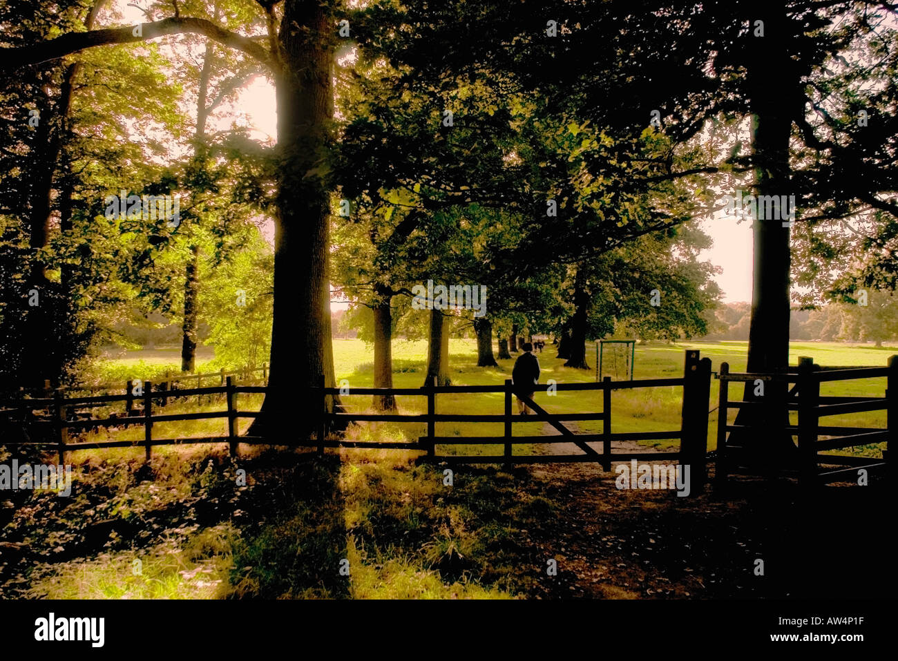 Solihull manor house hi-res stock photography and images - Alamy